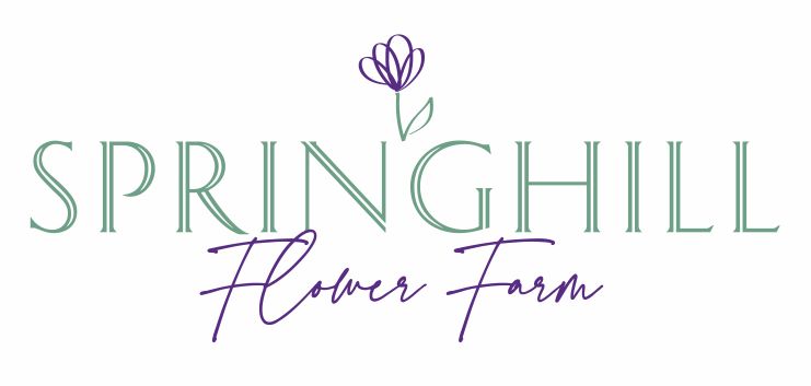 All – Springhill Flower farm